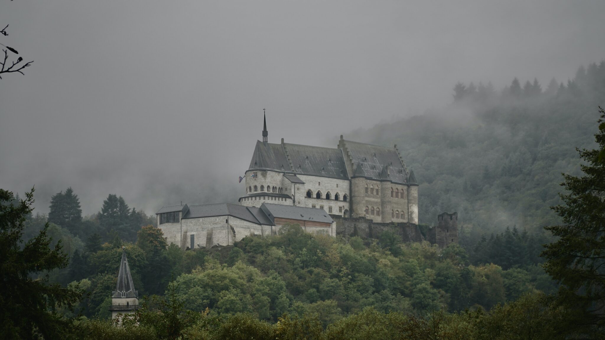 Det danske sprog – kender du historien? - Wordpilots